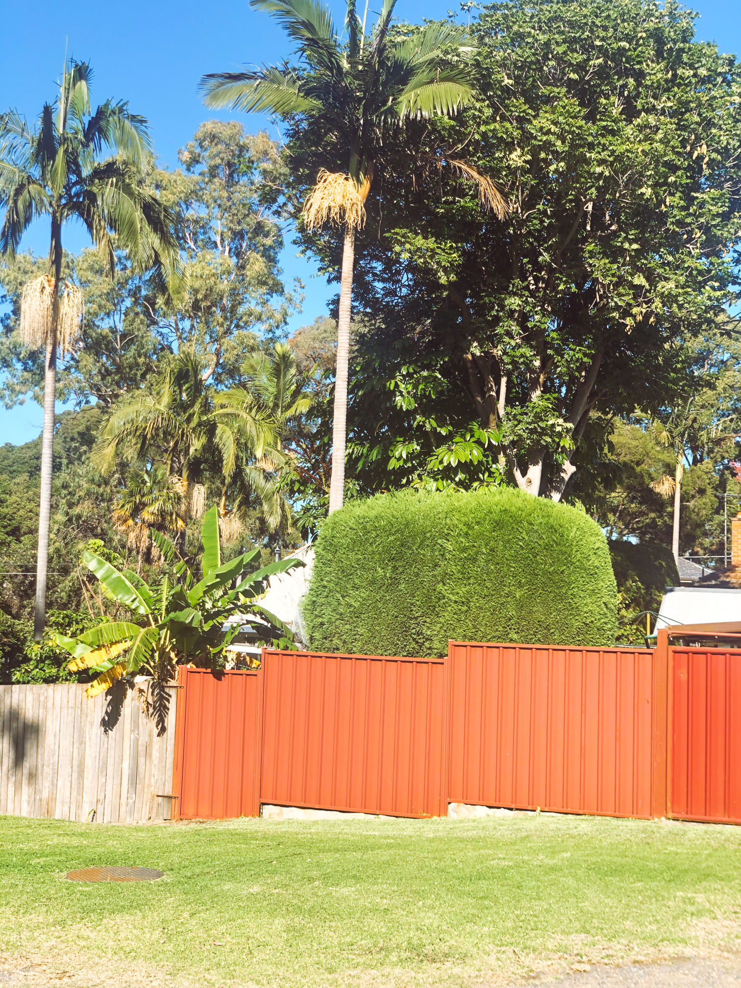 Self-Care: Colour Walking - On The Slow Lane